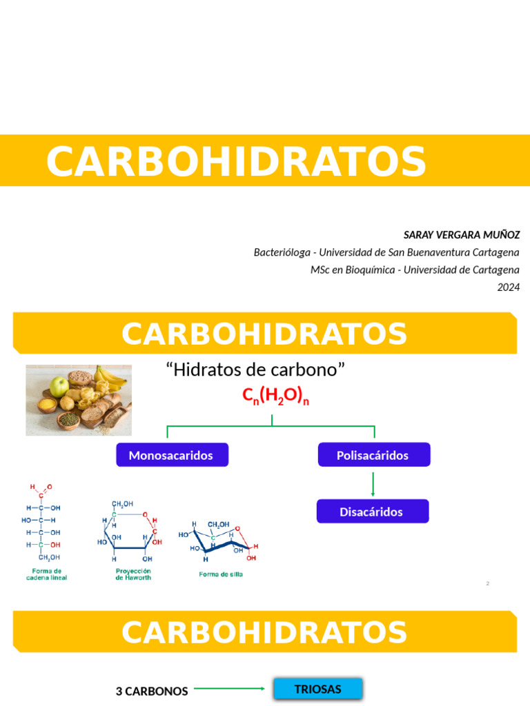 Carbohidratos: Estructura y Función | PDF | Carbohidratos | Glucosa