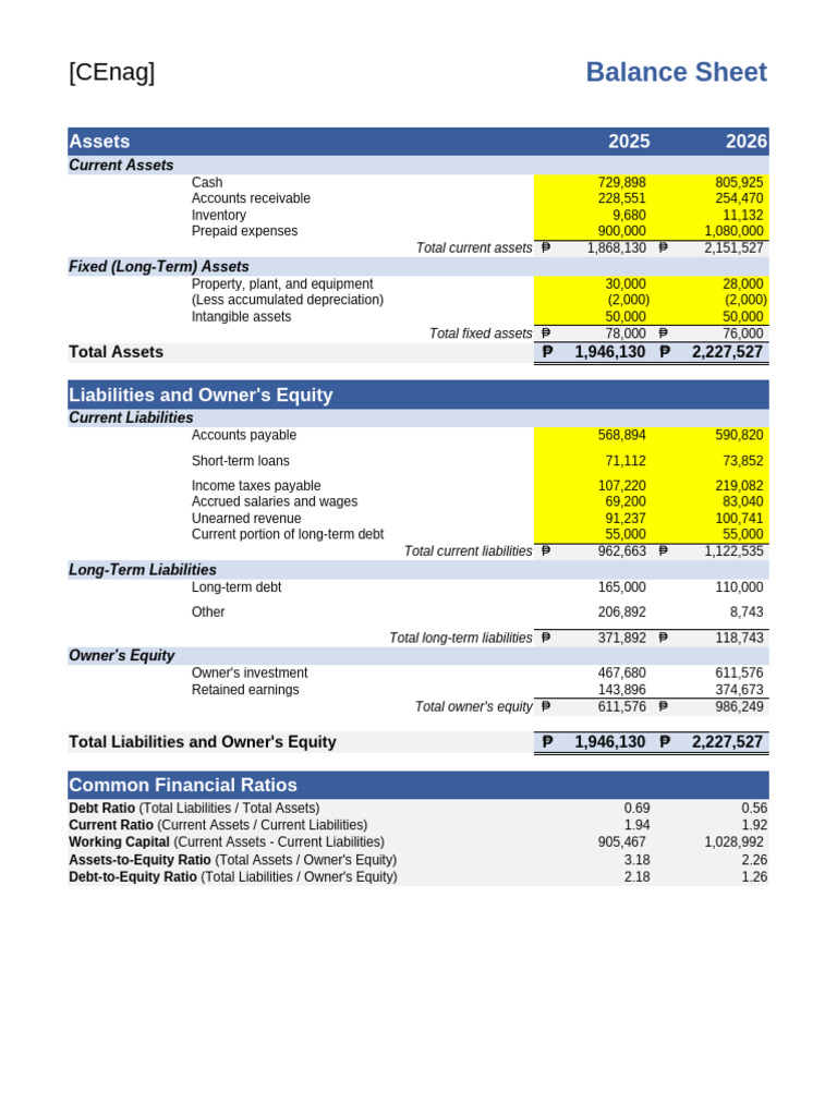 2025-2026 Balance Sheet Analysis | PDF | Equity (Finance) | Balance Sheet
