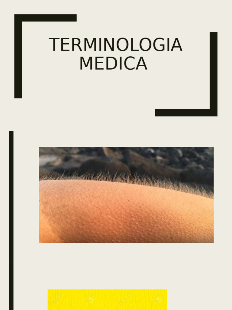 Terminologia Medica | PDF