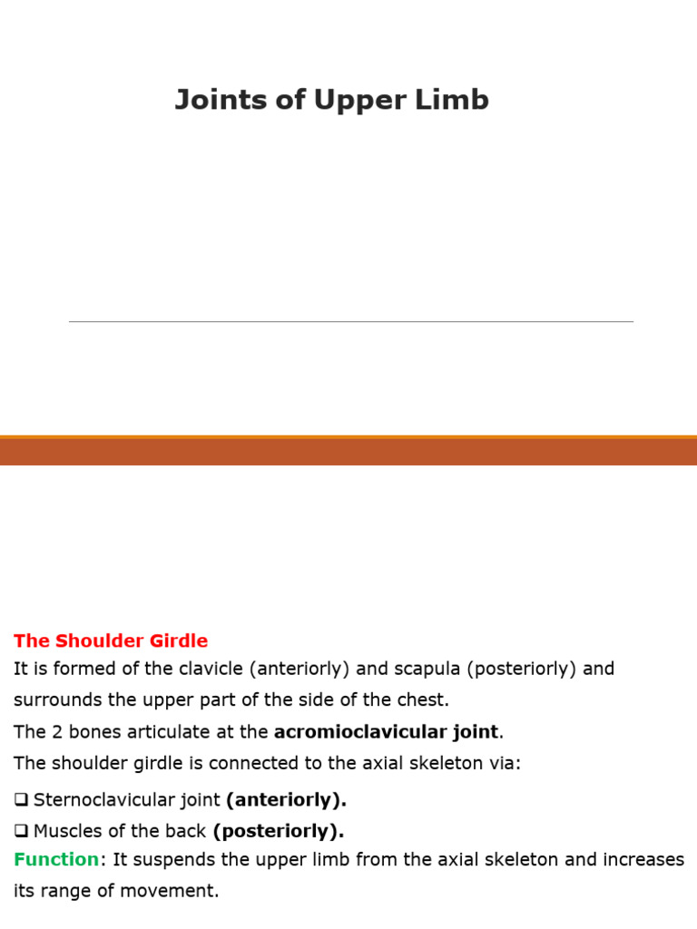 Overview of Upper Limb Joints | PDF | Elbow | Anatomical Terms Of Motion
