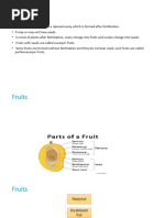 Types of Dry Indehiscent Fruits | PDF | Fruit | Seed