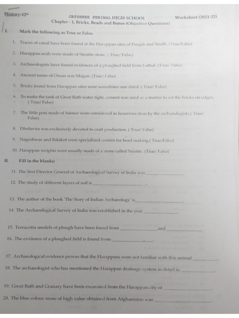 Chapter 1 Bricks, Beads and Bones (Board Questions + Worksheet) | PDF