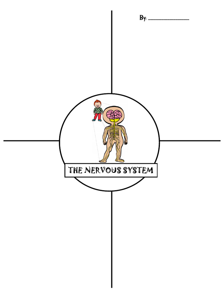 The Nervous System Project | PDF