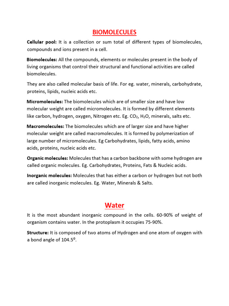 Overview of Biomolecules and Their Functions | PDF | Fatty Acid ...