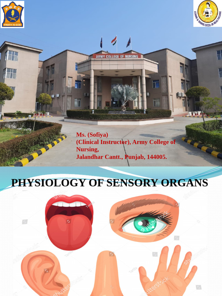 Anatomy and Physiology of Senses | PDF | Taste | Auditory System