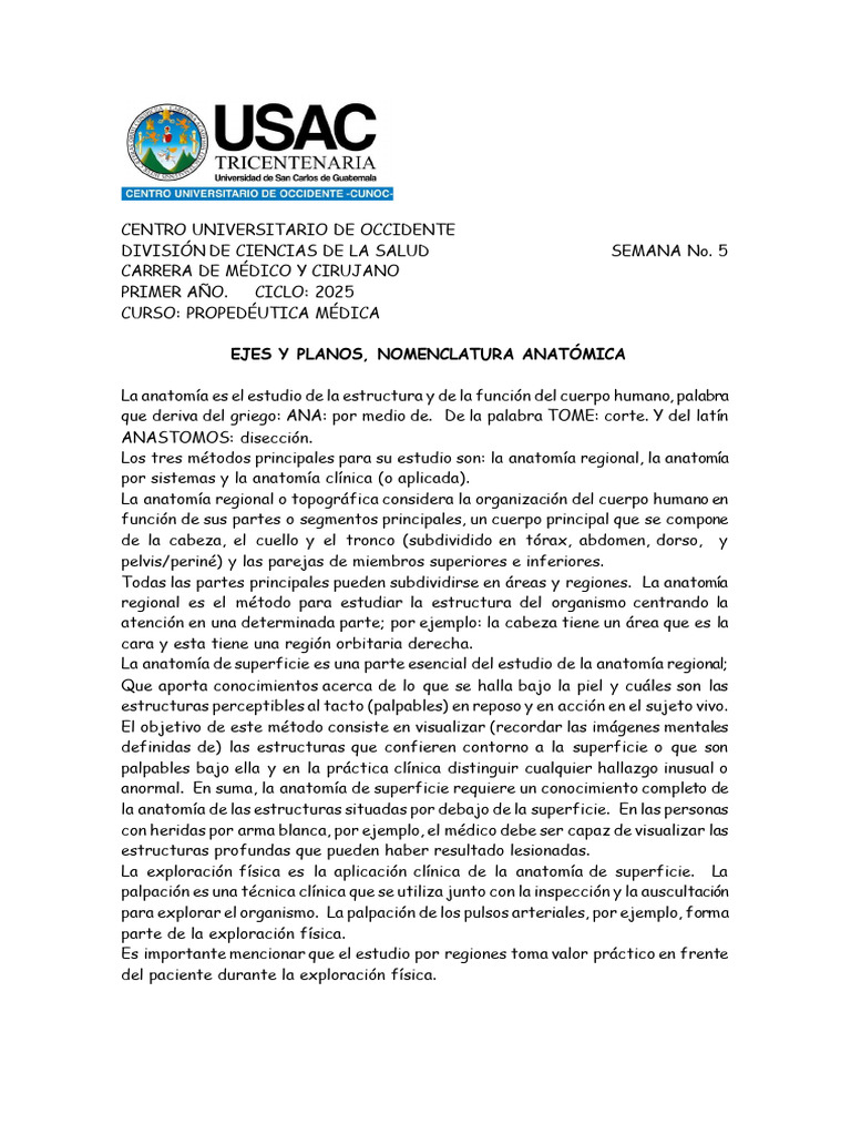Anatomía: Ejes, Planos y Nomenclatura | PDF | Términos anatómicos de ...