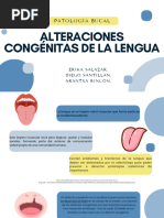 Lengua Bifida | PDF | Lengua | Boca