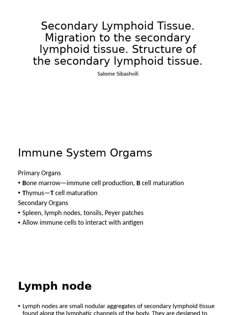 Secondary Lymphoid Tissue. Migration To The Secondary Lymphoid Tissue ...