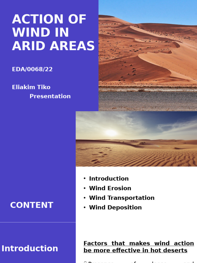 Action of Wind Final Presentation | PDF | Wound | Dune