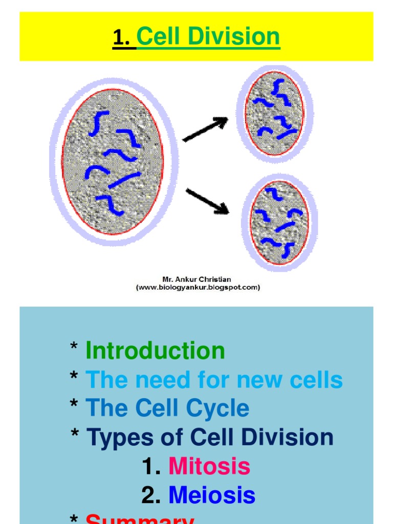 1. Cell Division--2.Structure of Chromosomes--3.Principles of Genetics ...