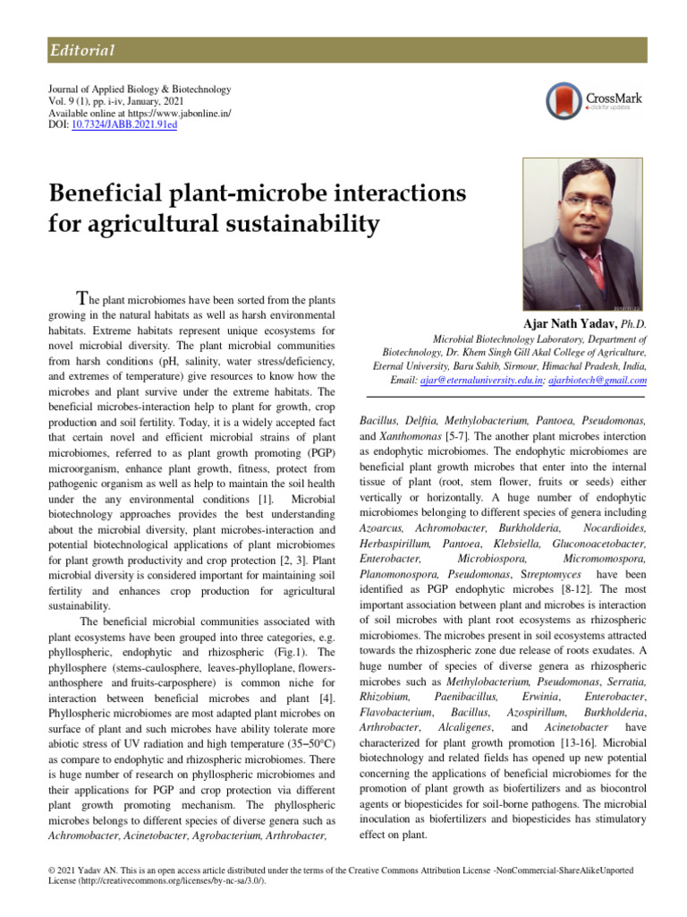 Beneficial Plant Microbe Interactions Fo | PDF | Microorganism | Plant ...