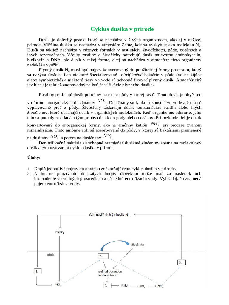 Cyklus Dusíka V Prírode - PL | PDF