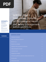 NEBOSH IDip Sample Exam | PDF
