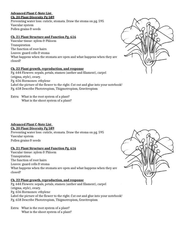 Plant Notes and Note Check | PDF | Root | Flowers