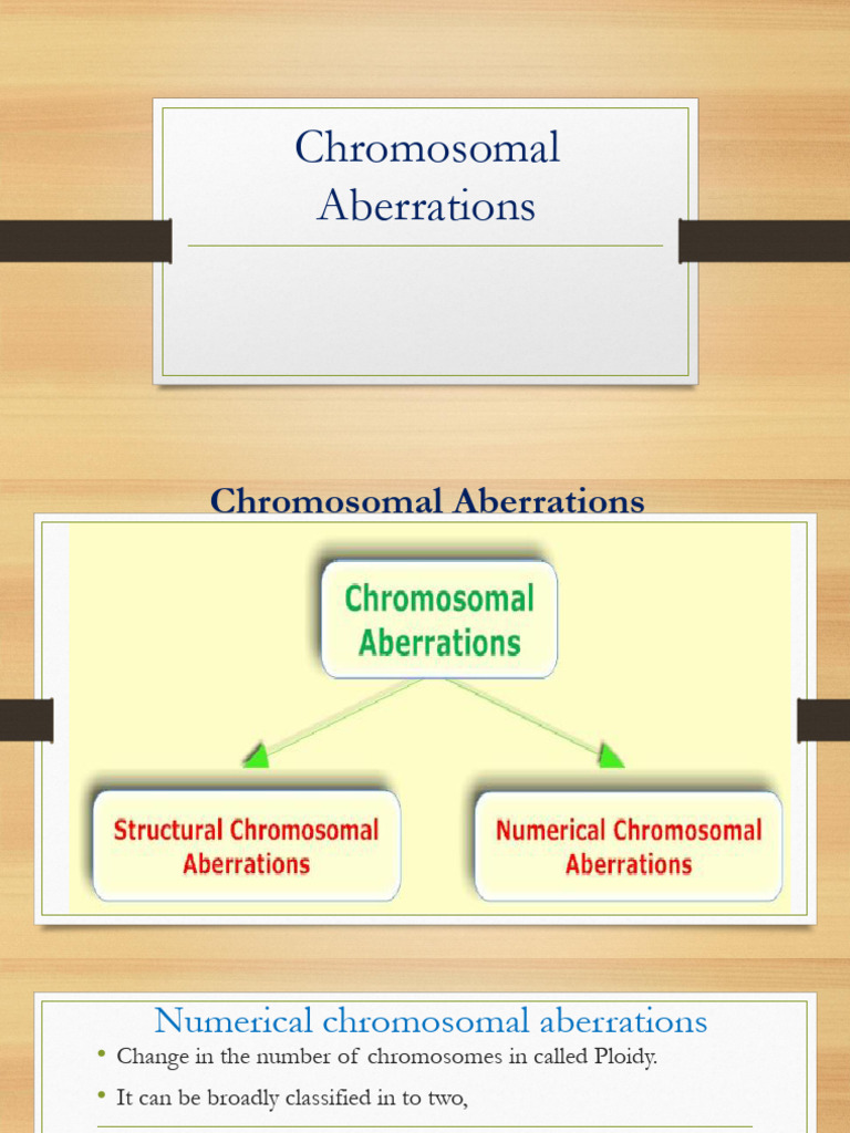 Understanding Chromosomal Aberrations | PDF | Ploidy | Diseases And ...