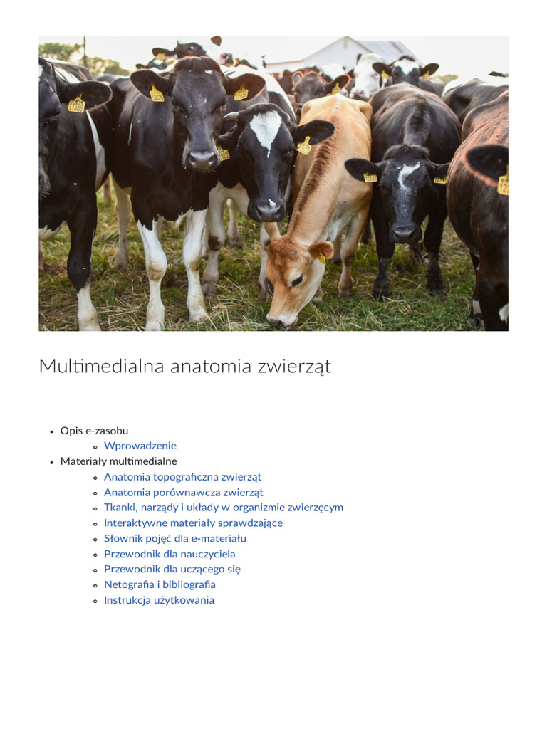 Multimedialna Anatomia Zwierzat | PDF