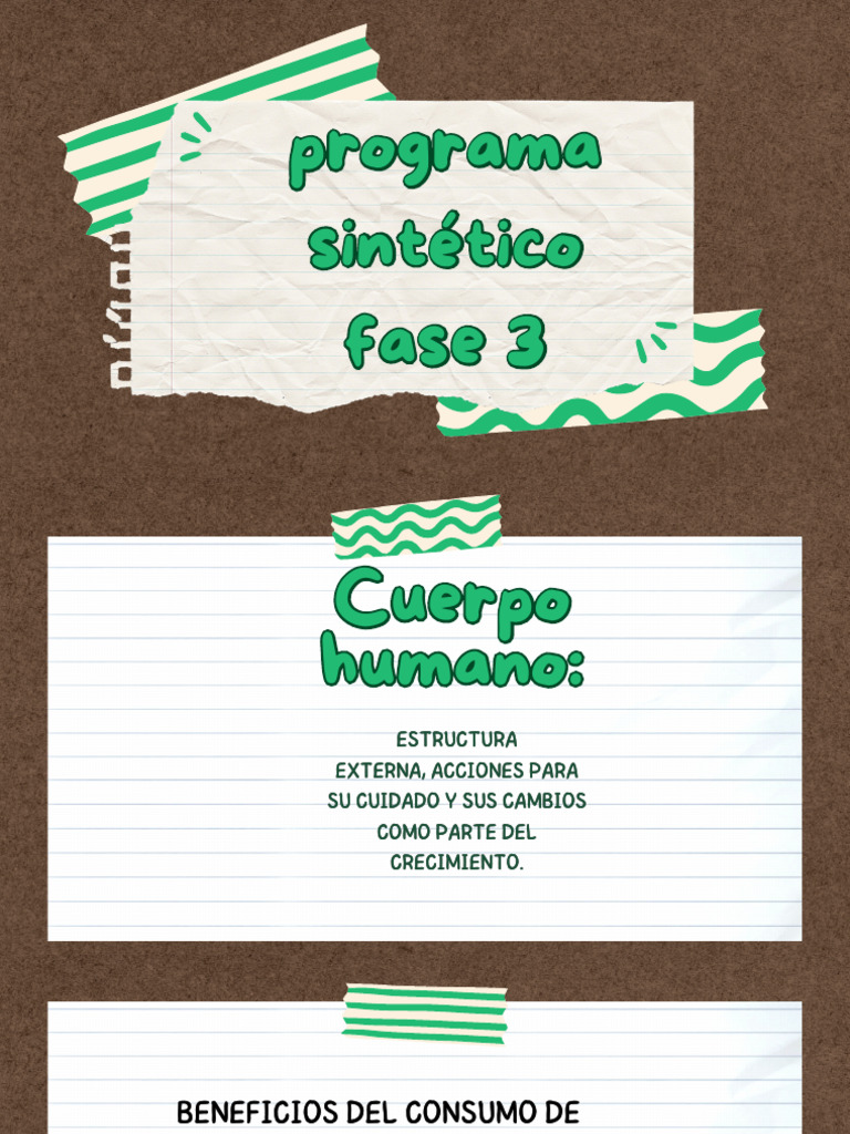 Programa Sintético Fase 3 | PDF