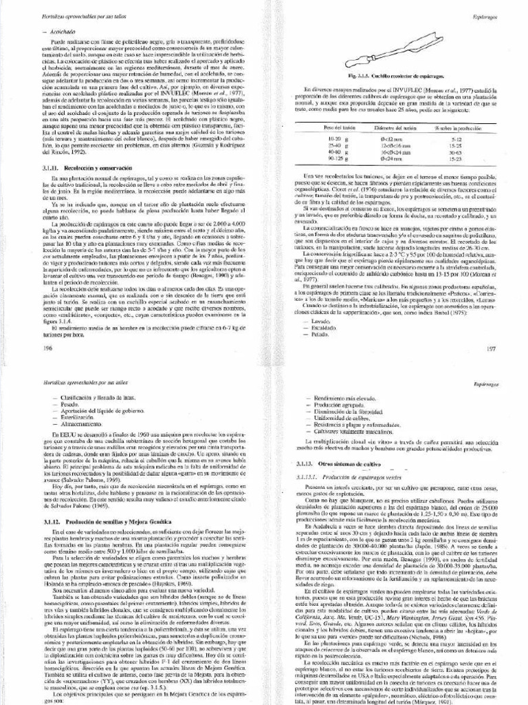 pdf-horticultura-herbacea-especial-maroto_compress | PDF