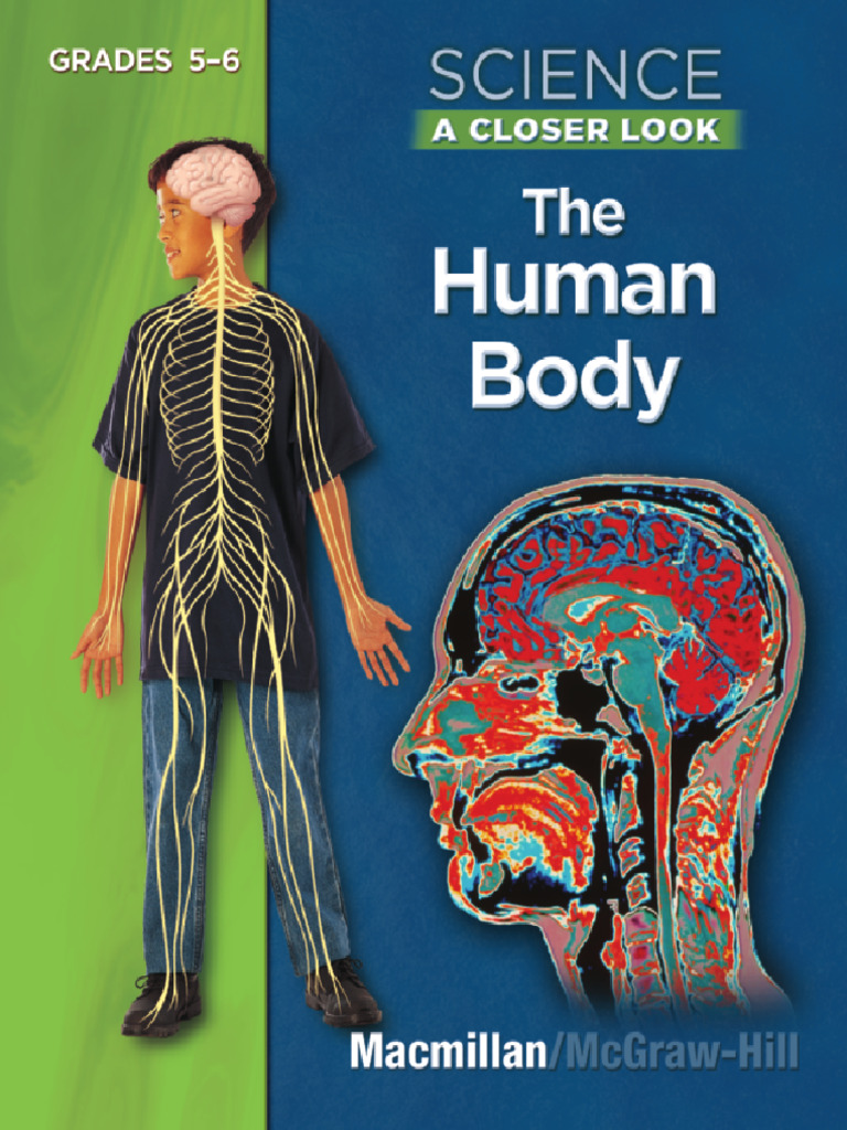Human Body (G5,6) | PDF | Human Body | Muscle
