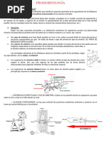 Animales y su Simetría Corporal | PDF | Simetría | Zoología
