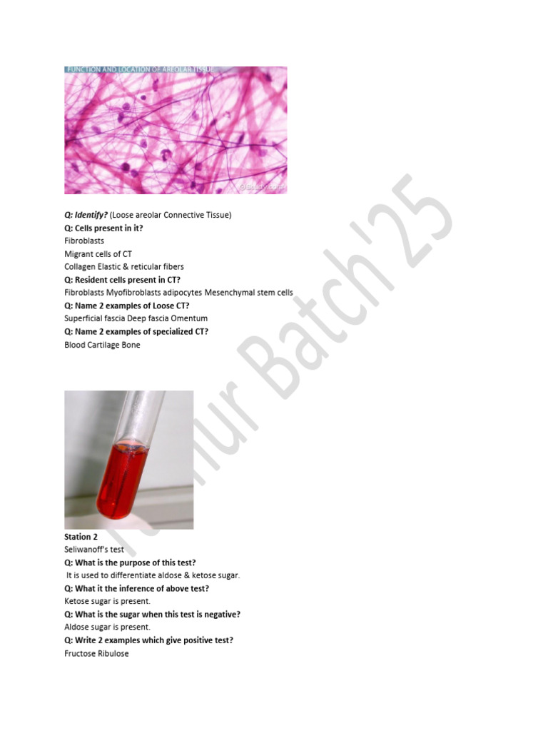 Connective Tissue and Blood Tests Overview | PDF