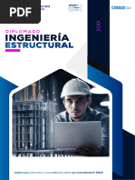 Curso de Diseño Estructural con Python | PDF | Fundación (Ingeniería ...
