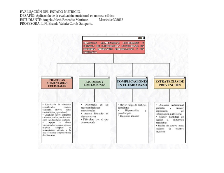 Organizador Grafico. | PDF