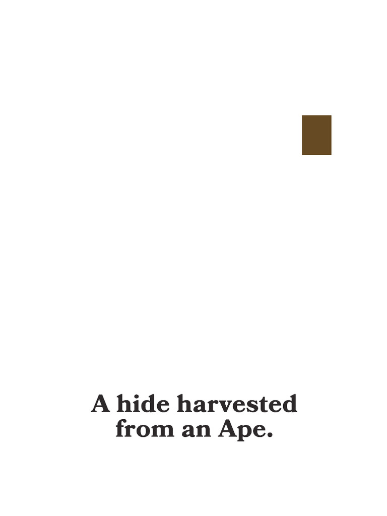 Ape Hide | PDF