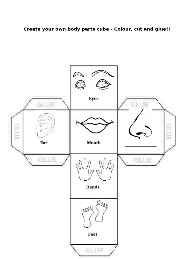 DIY Body Parts Cube Craft Guide | PDF