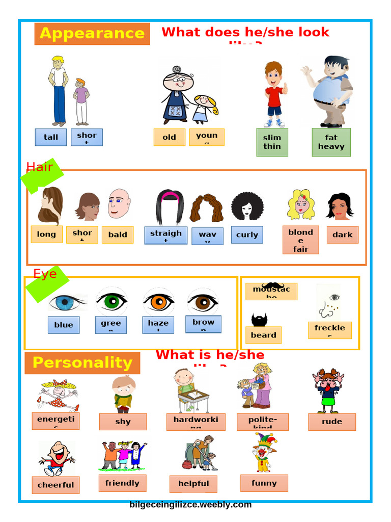 Describing Physical Appearance | PDF