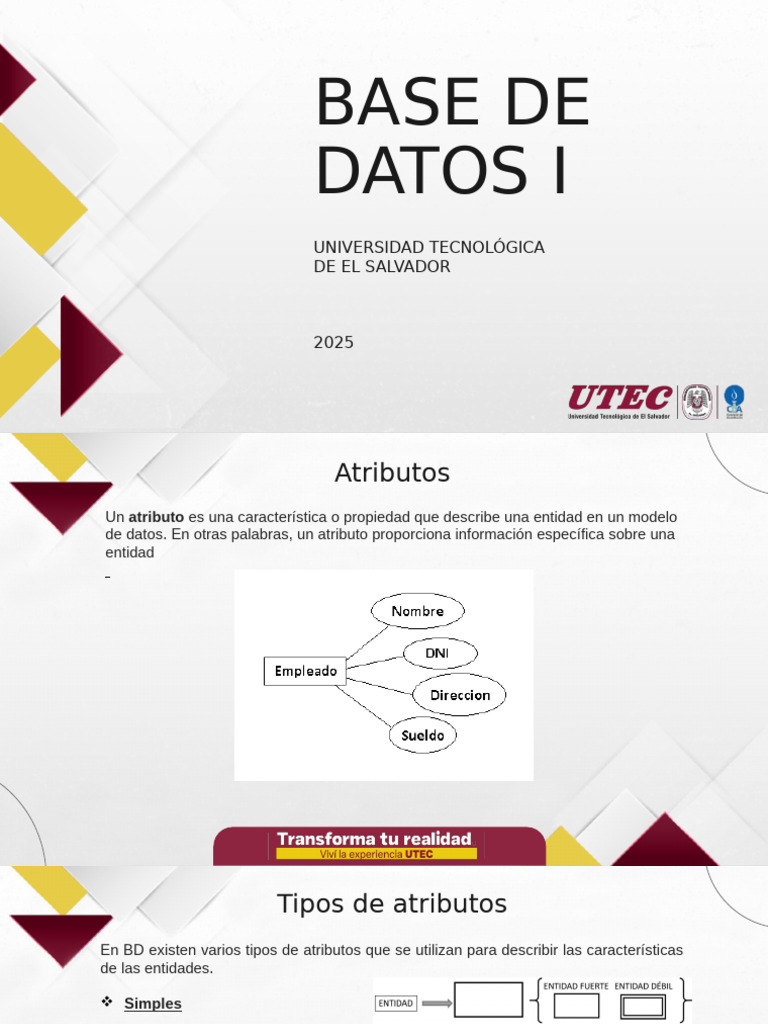 8.base de Datos - Tipos de Atributo C5 - Parte 2 | PDF | Datos | Bases ...