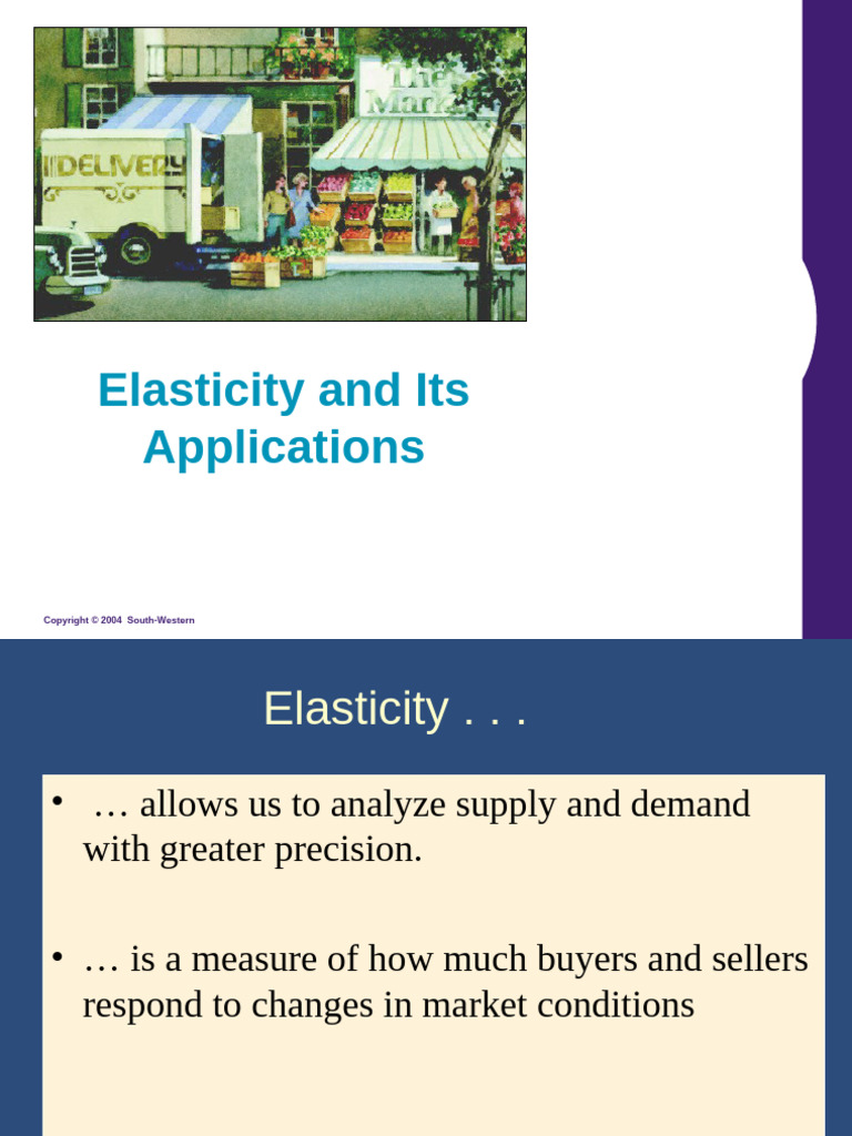 Elasticity | PDF