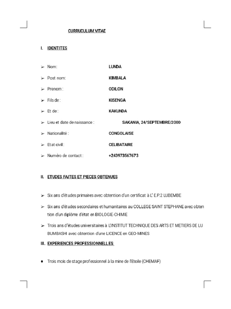 CV ODIN - Phoenix | PDF