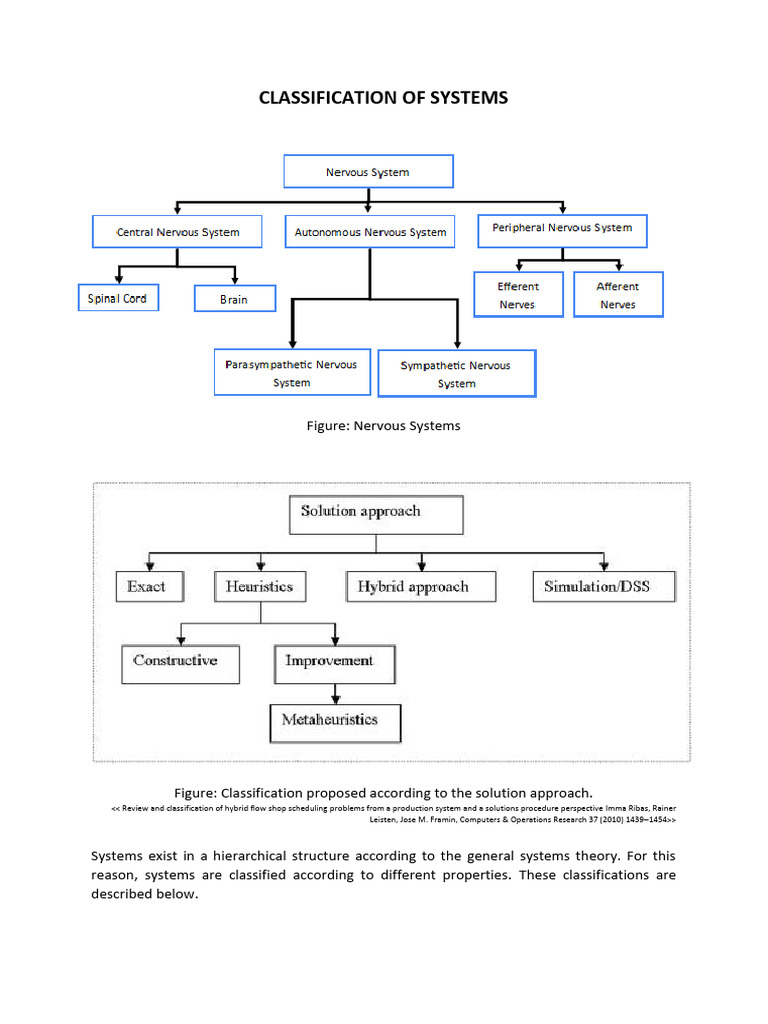 Doc3-1 - Classification of Systems | PDF | System | Natural Environment