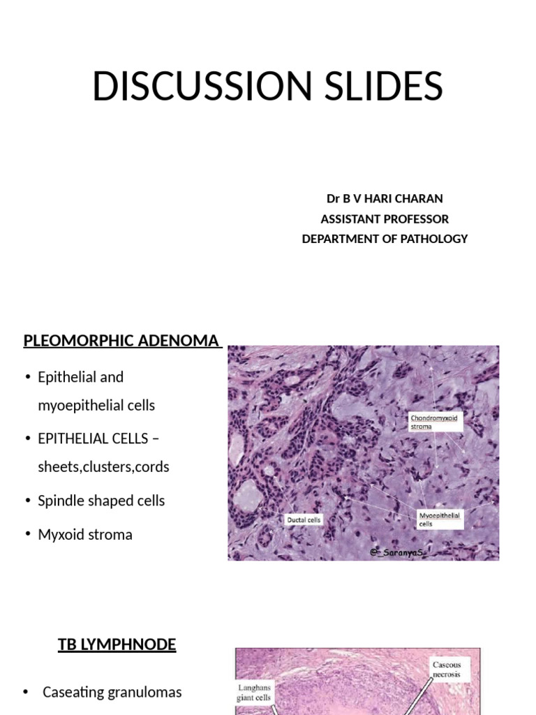 Discussion Slides | PDF