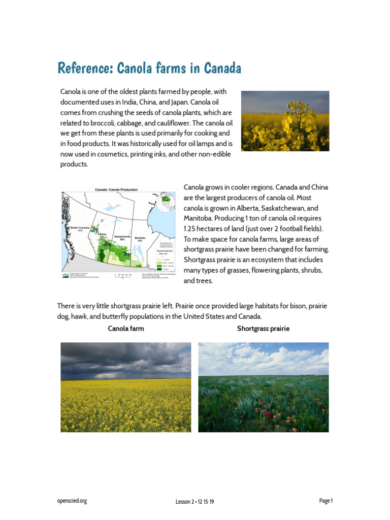 Canola Farming in Canada: Overview | PDF