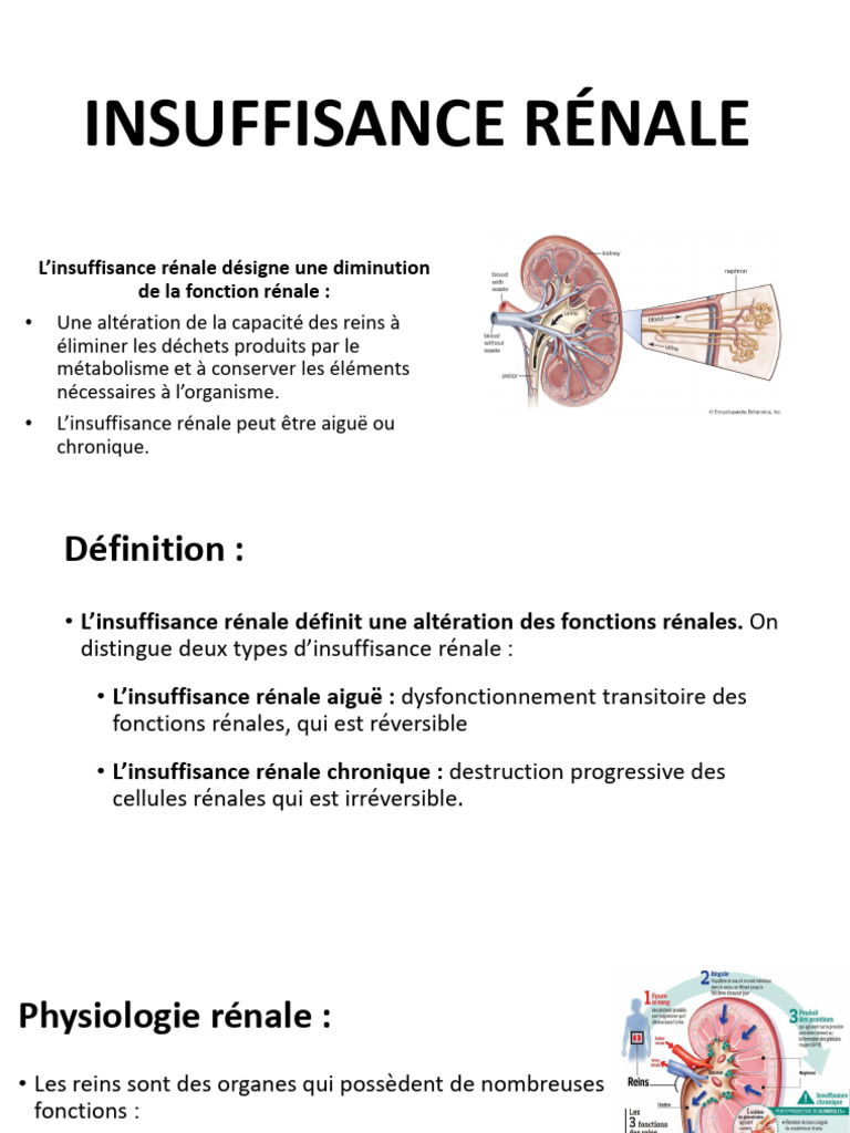 Comprendre l'insuffisance rénale | PDF | Rein | Urine