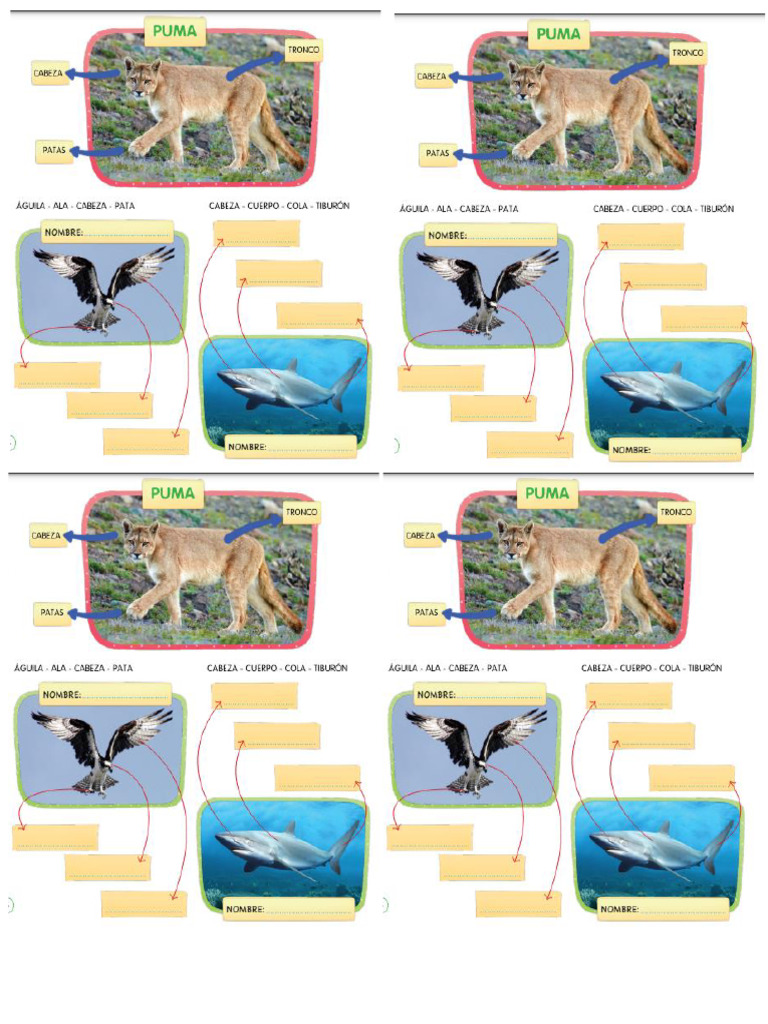 partes del cuerpo de los animales | PDF