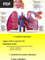 18 - Physiologie Du Nerf Récurrent | PDF | Nerf vague | Larynx