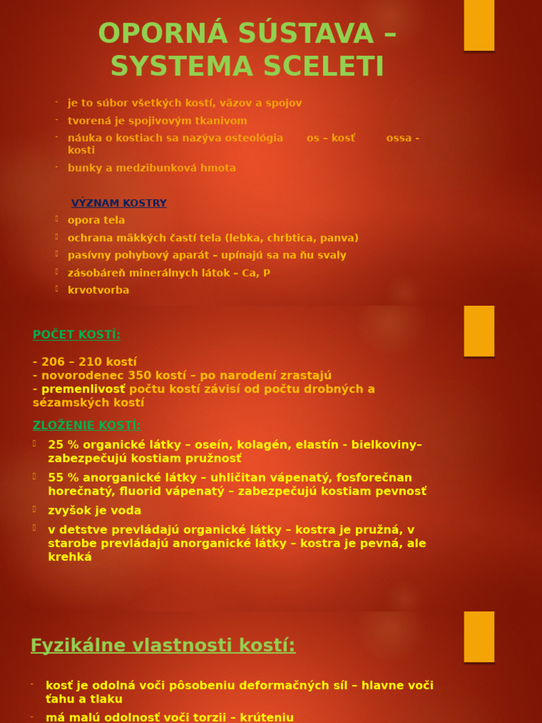 OPORNÃ SÃ STAVA â SYSTEMA SCELETI (2) | PDF