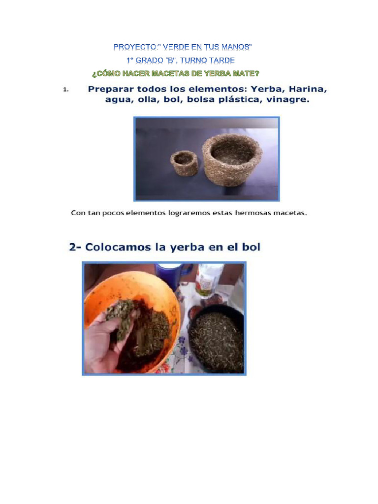 Cómo Hacer Macetas de Yerba Mate | PDF