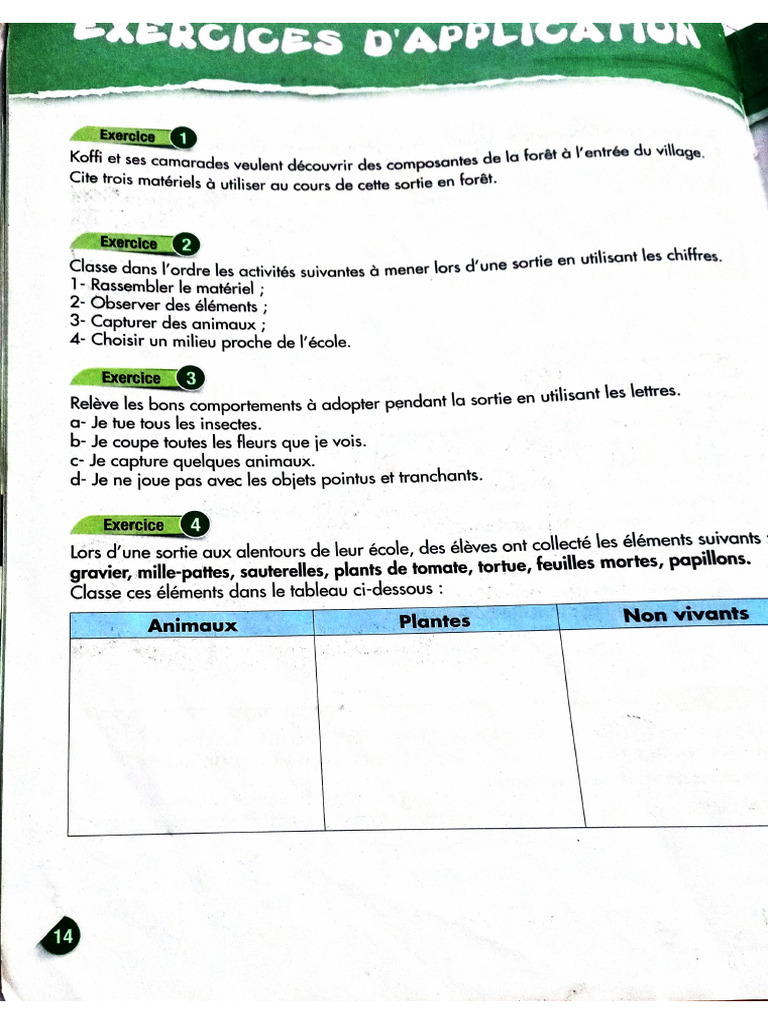 Document 3 Exercice Pdf