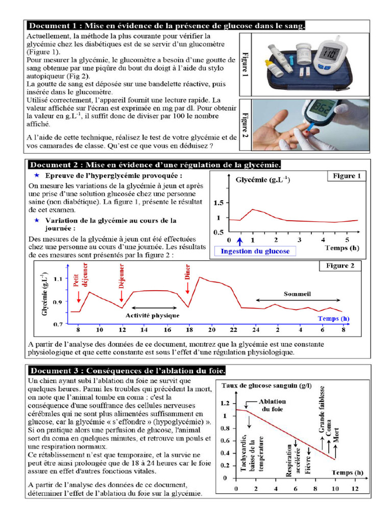 Planche 1 Biof La Glycemie 2025 | PDF