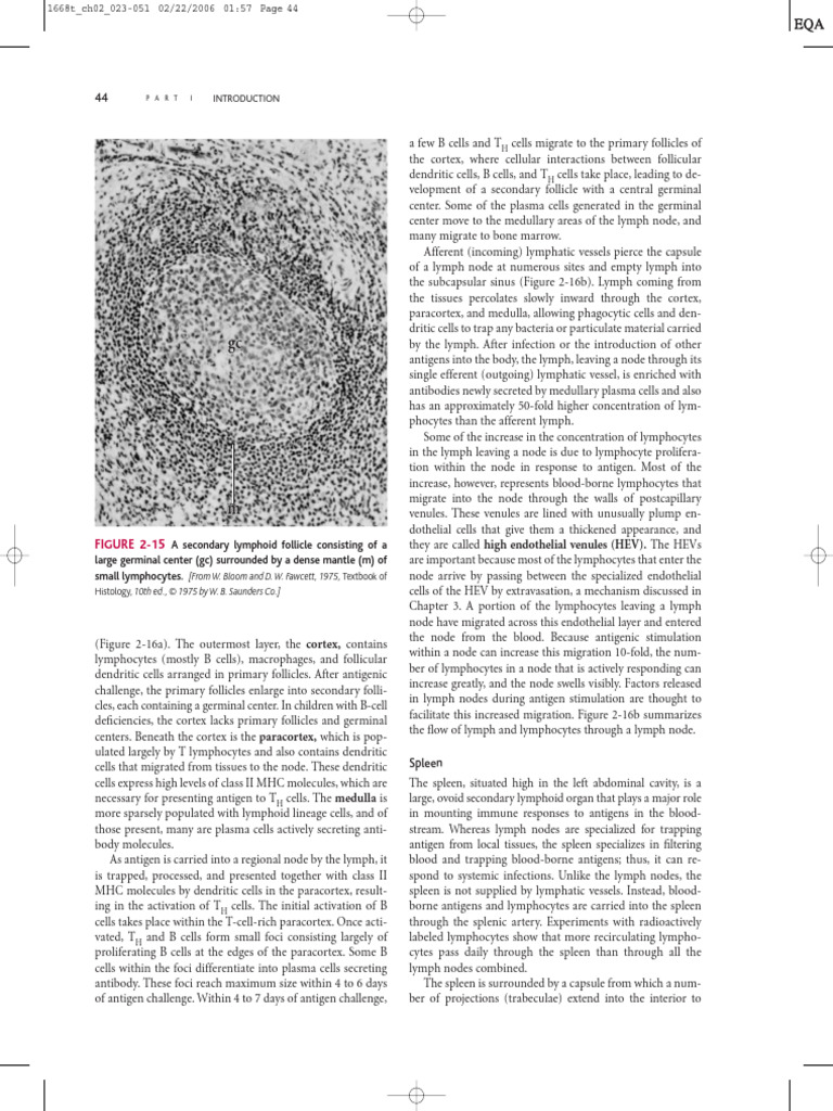 (MEDICINA) Biochemistry - Immunology 6th Ed 2007 - Corrected Page 44 ...
