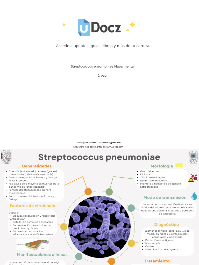 Mapa Mental S Pneumo 538971 Downloadable 2620865 | PDF | Neumonía ...