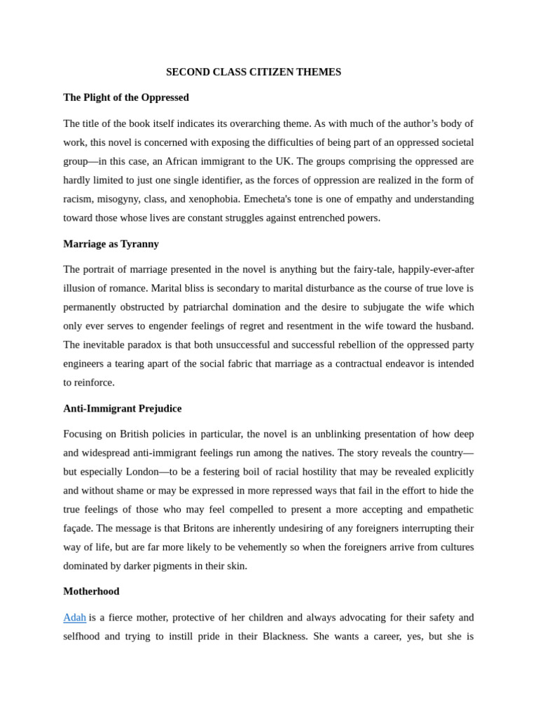 Second Class Citizen Themes | PDF | Feminism | Gender Studies