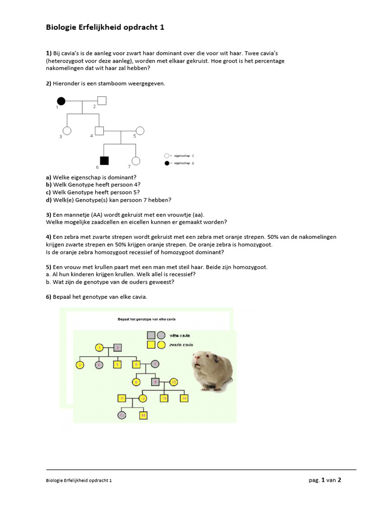 Opdrachten Erfelijkheid | PDF