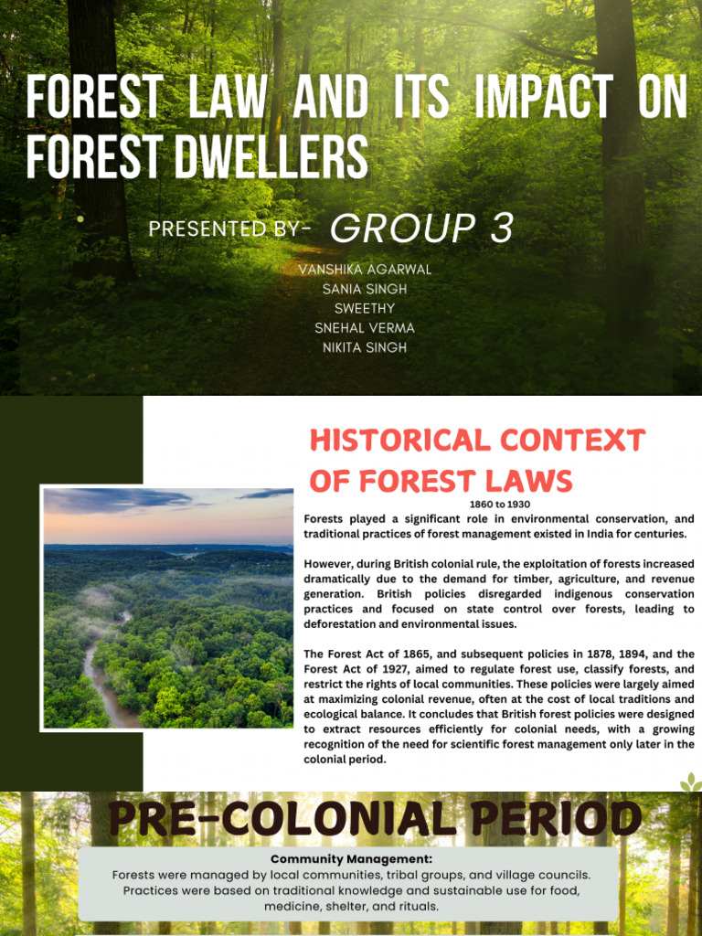 Forest Law and Its Impact On Forest Dwellers Group 3 | PDF