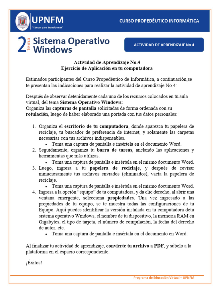Actividad de Aprendizaje Nº4 | PDF
