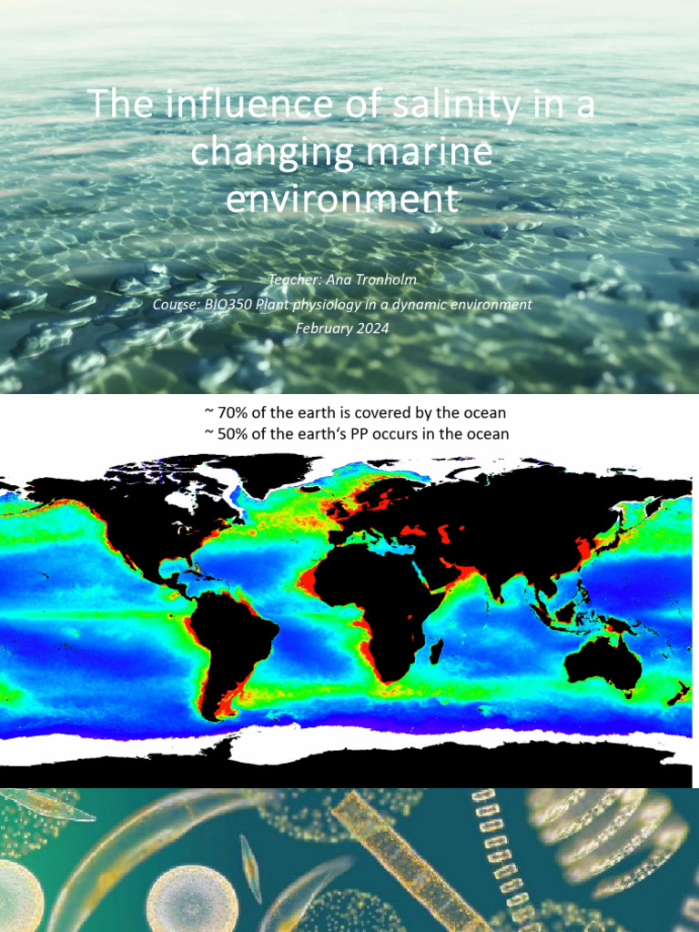 Salinity Mar Env AT 2024 | PDF | Oceans | Osmosis